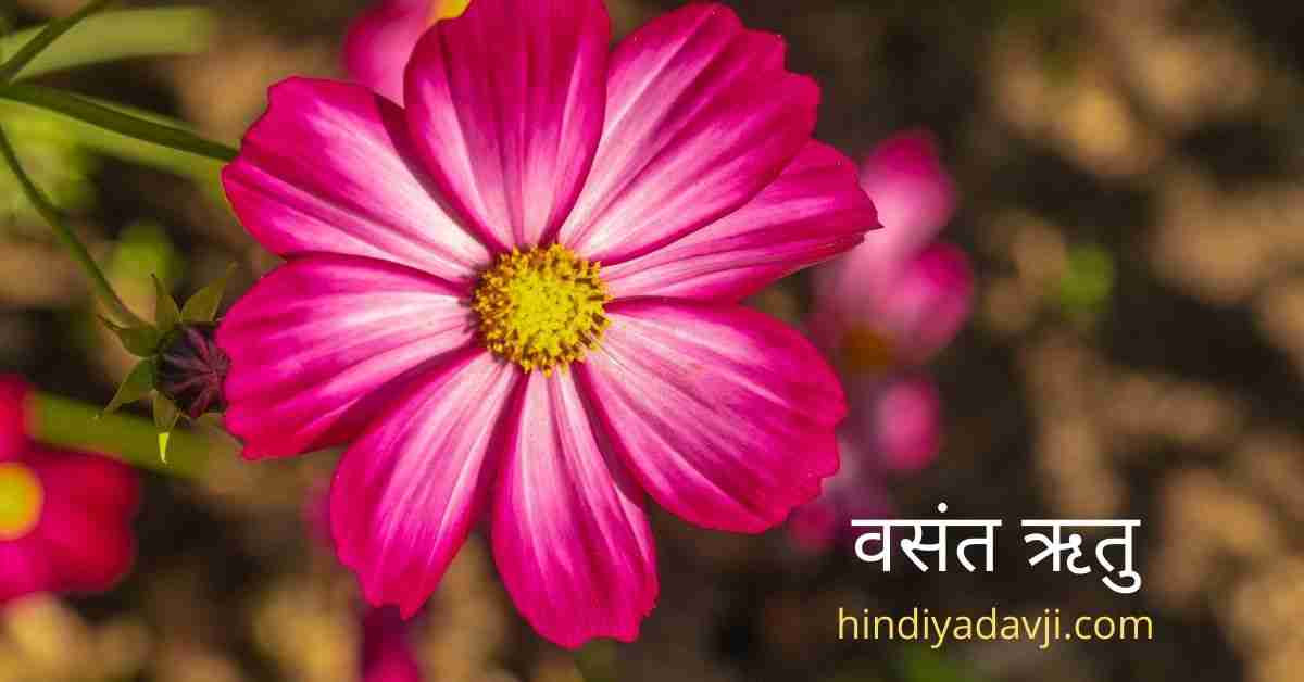 वसंत ऋतु पर निबंध | about spring season in Hindi - YADAV SIR